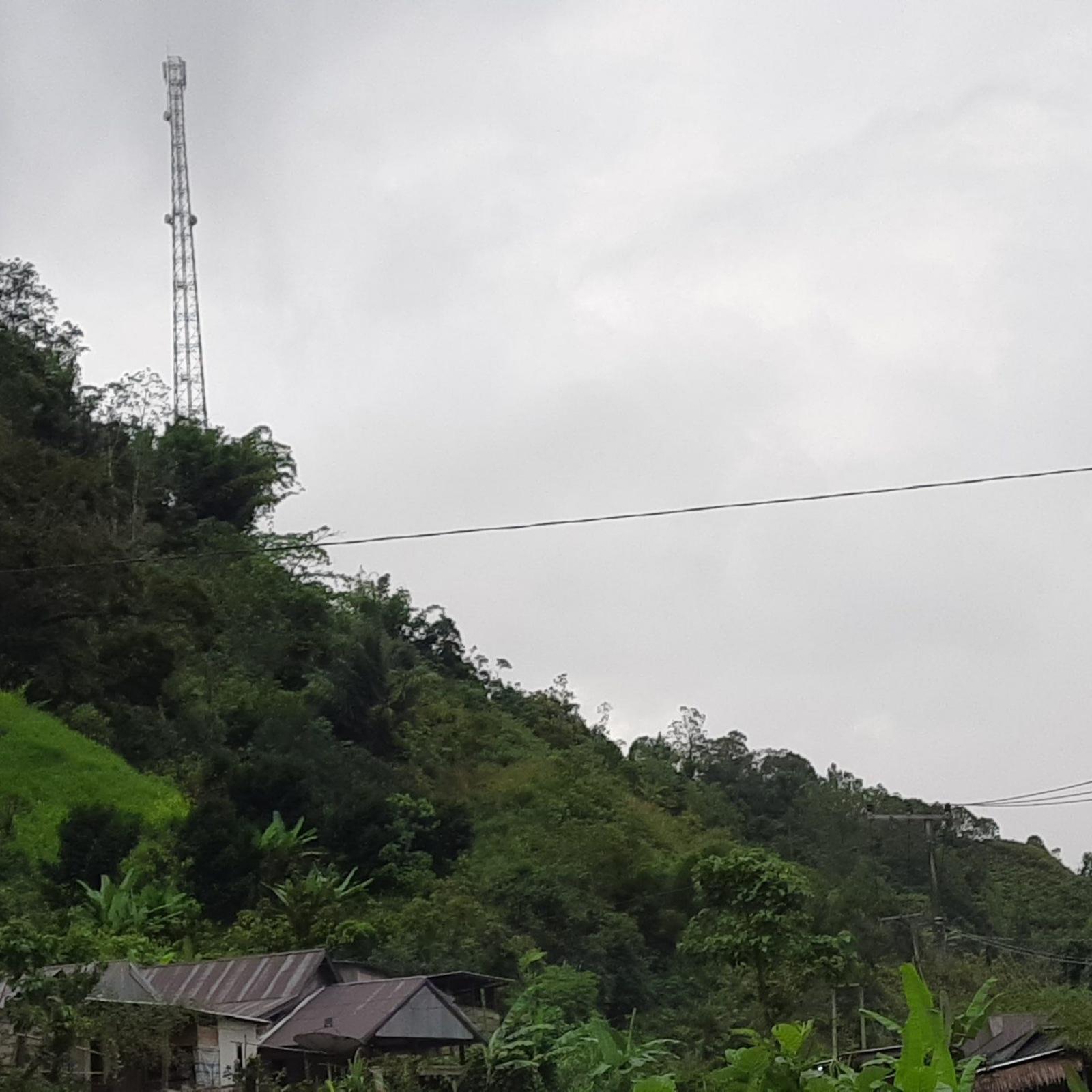 Fakta Mengejutkan! Masih Ada 19 Desa di Jambi Tanpa Sinyal Internet ...